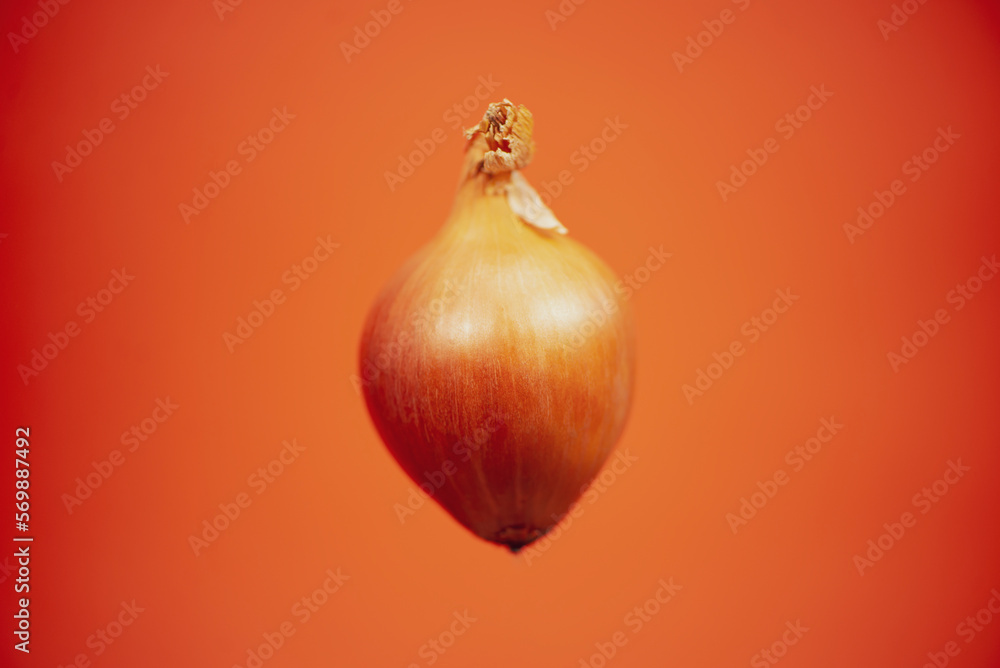 beautiful texture of onion peel on a bright background Stock Photo ...