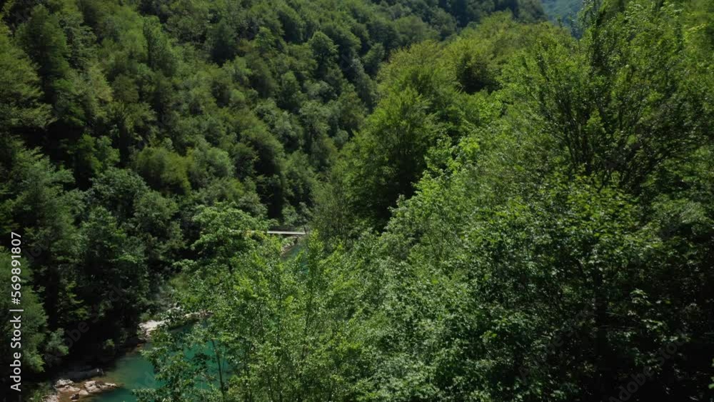 Premcan Bridge on River Tara. Tara river winds its way through dense ...