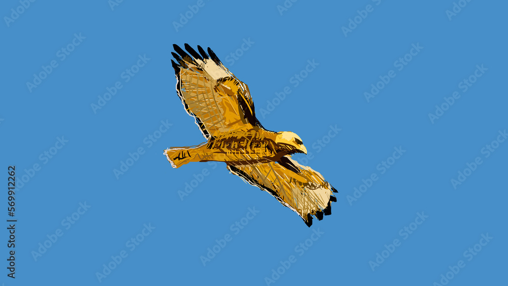 Red tail Hawk, Predator, Gliding, Flying, Bird, Birding Stock ...