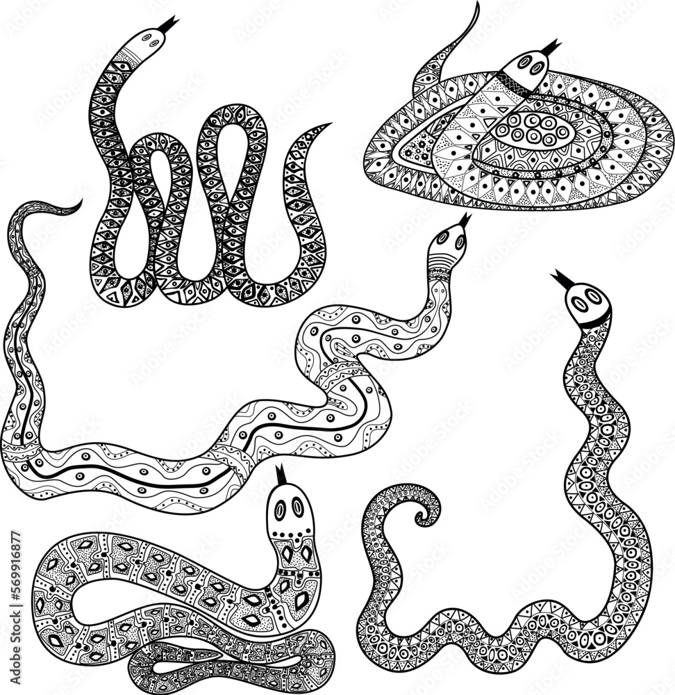 black and white snakes on a transparent background in the style of boho ...
