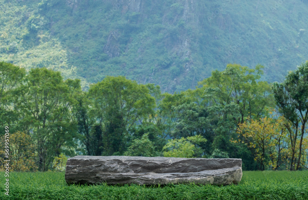 stone rock table top counter podium in outdoor tropical garden forest ...
