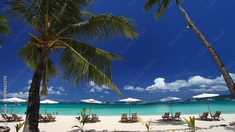 Sun umbrellas and beach chairs on tropical beach with palm trees ...
