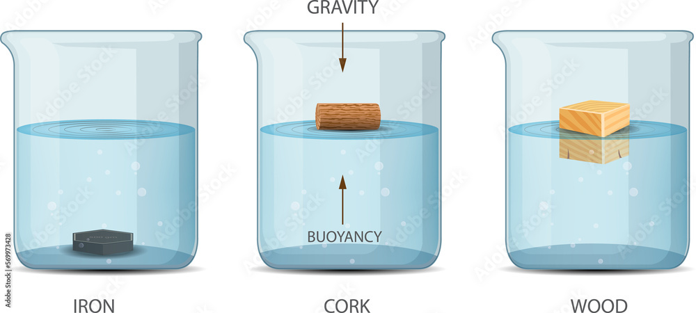 Archimedes Principle Density and Buoyancy Stock Illustration | Adobe Stock