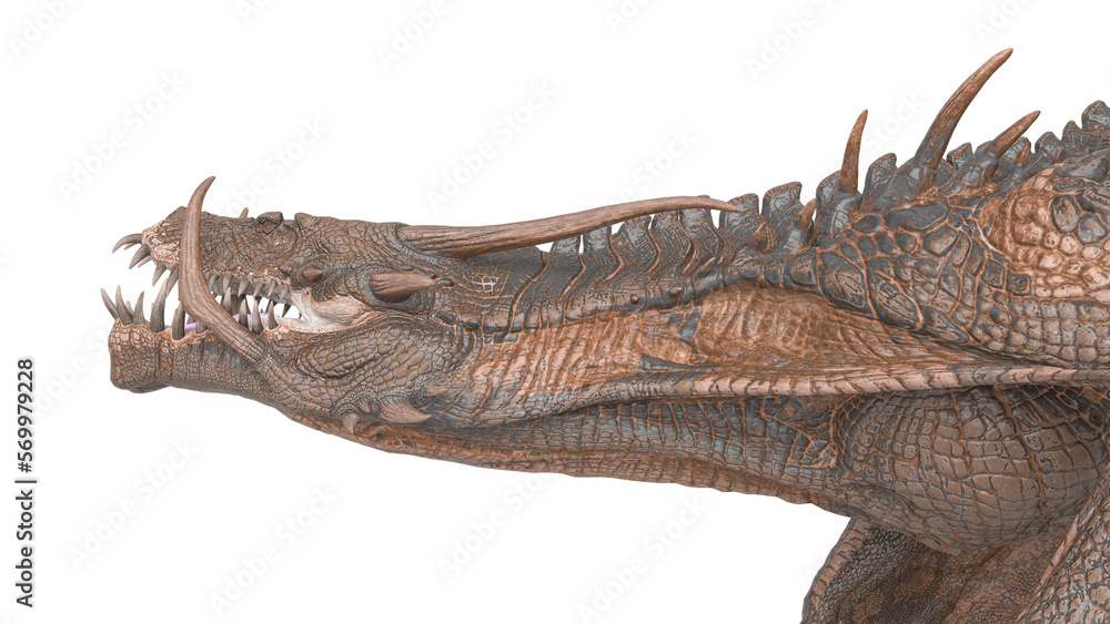 dragon id picture on white background close up side view Stock ...