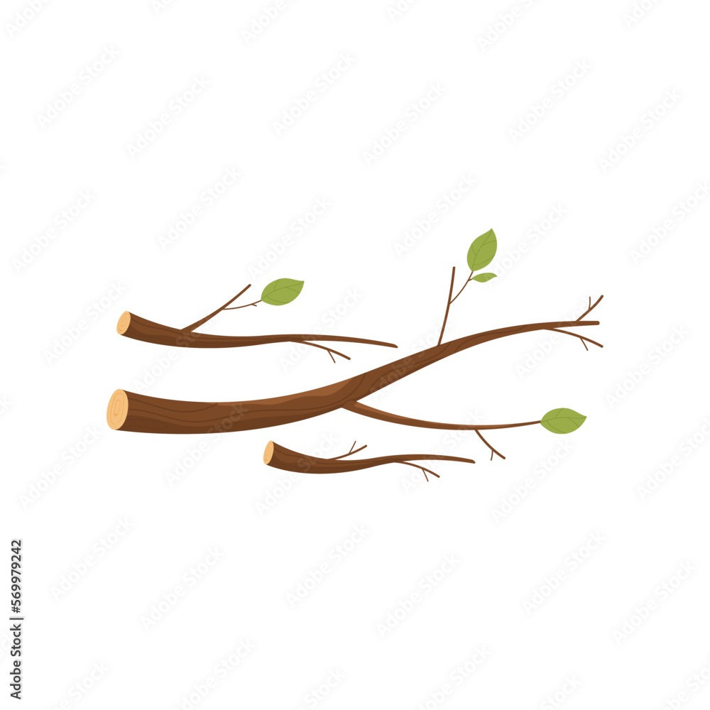 Cut branches of tree with leaves vector illustration. Cartoon drawing ...