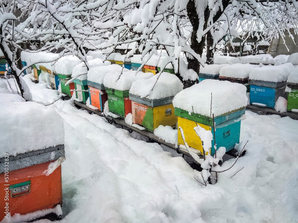 Photo & Art Print Bee hives in the winter frozen under snow, photografiero