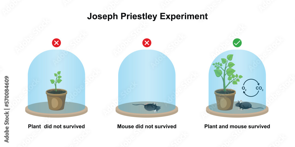 Priestley Experiment