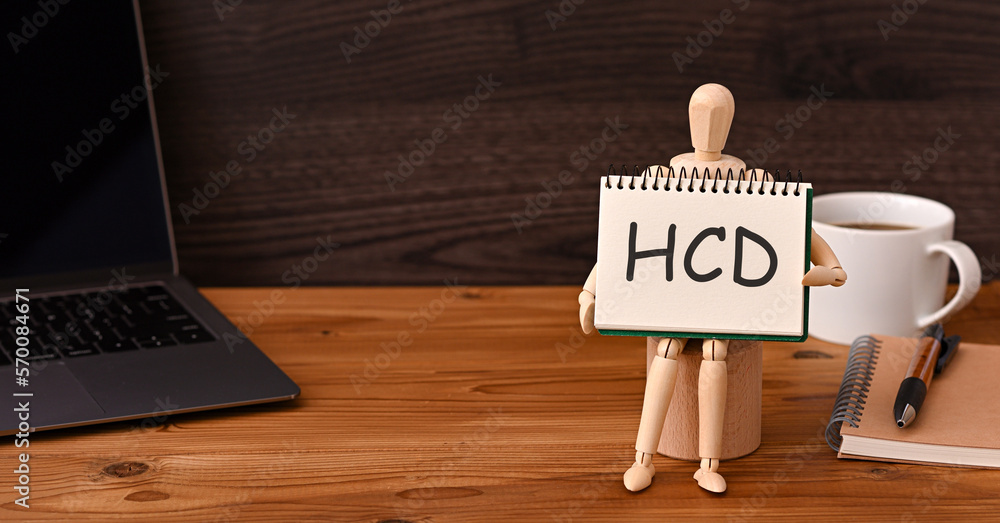 There is sketchbook with the word HCD. It is an abbreviation for Human ...
