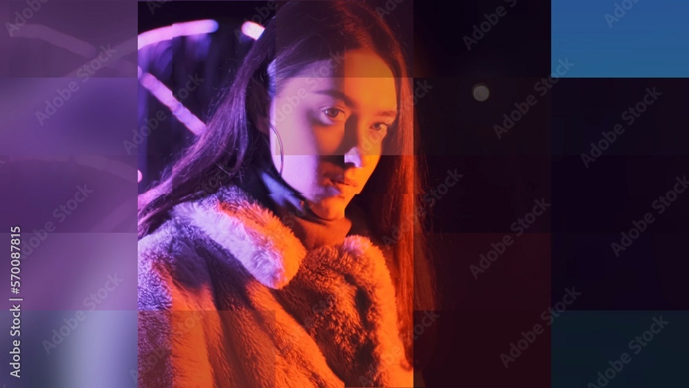 Elegant Block Transition Stock Template | Adobe Stock