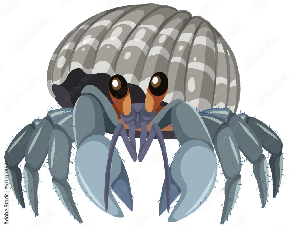 Isolated hermit crab cartoon Stock Vector | Adobe Stock
