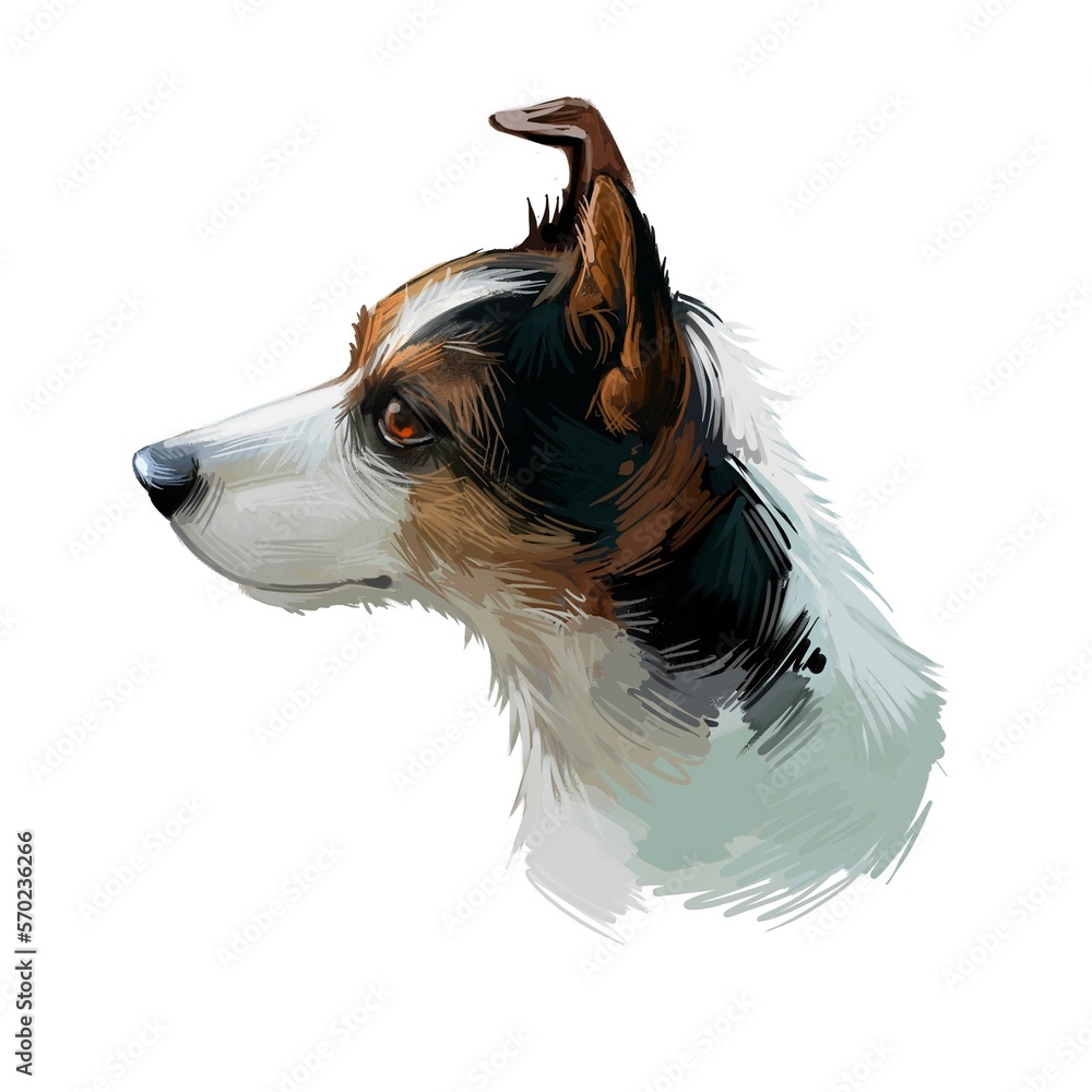 Miniature fox terrier hunting and working dog digital art illustration ...
