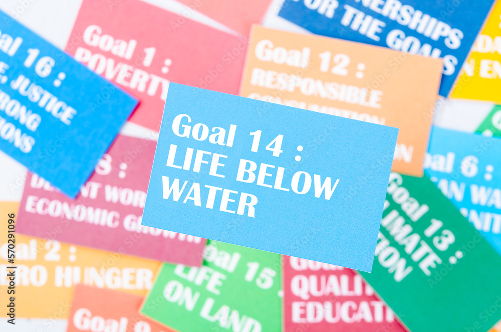 The Goal 14 : Life below water. The SDGs 17 development goals ...