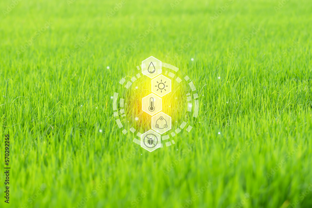 Smart farm digital icon and futuristic AI data infographic of Landscape ...