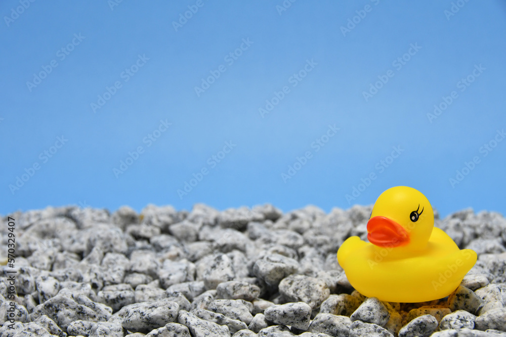 Pato de hule sobre piedras en la playa. Concepto de verano y vacaciones ...