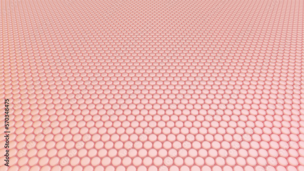 The skin's cell layers. Skin texture. Skin cell microscope, Background ...