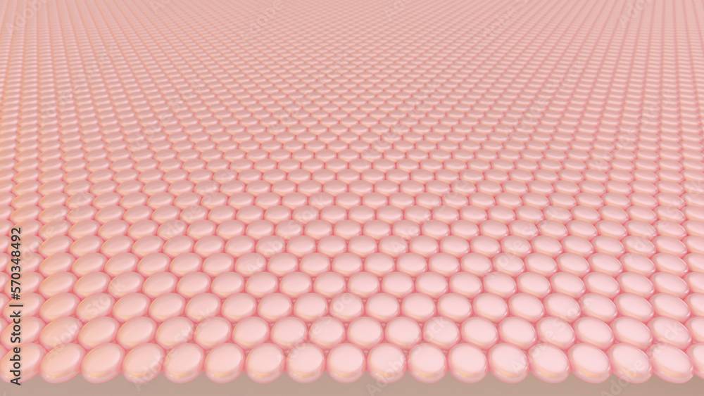 The skin's cell layers. Skin texture. Skin cell microscope, Background ...