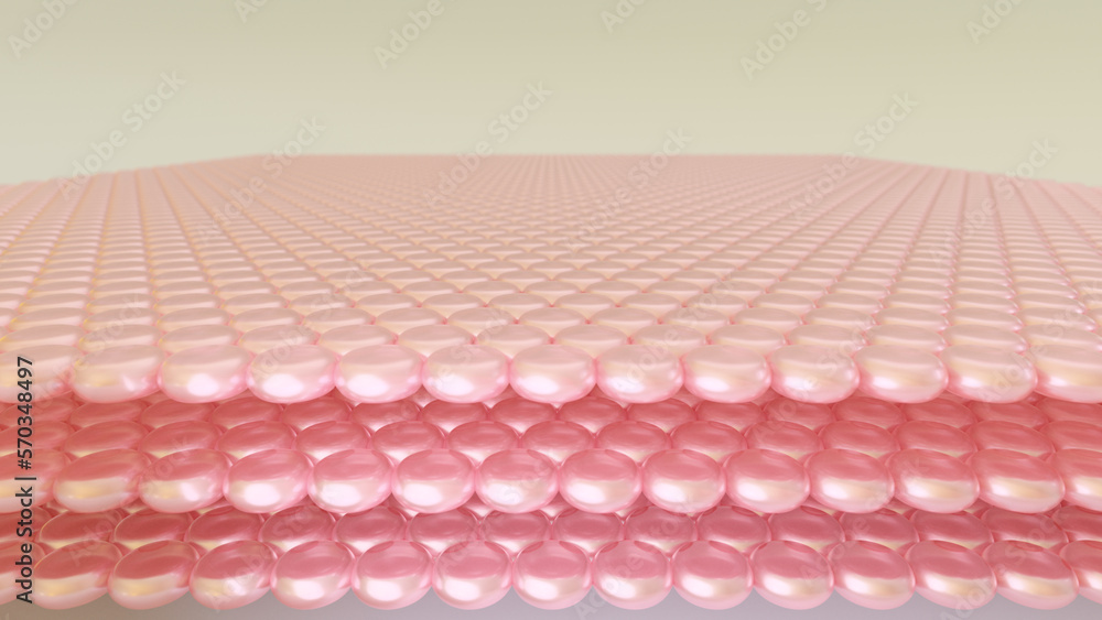 The skin's cell layers. Skin texture. Skin cell microscope, Background ...