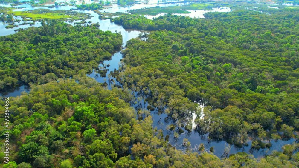 Wetlands are ecologically rich and diverse environments that play a ...