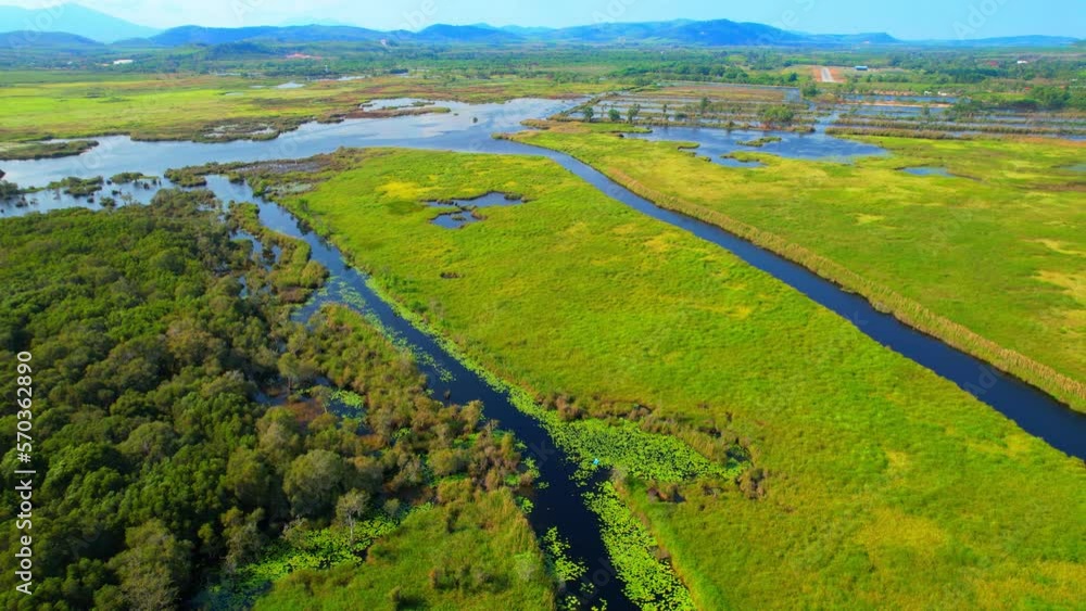 Wetlands are ecologically rich and diverse environments that play a ...
