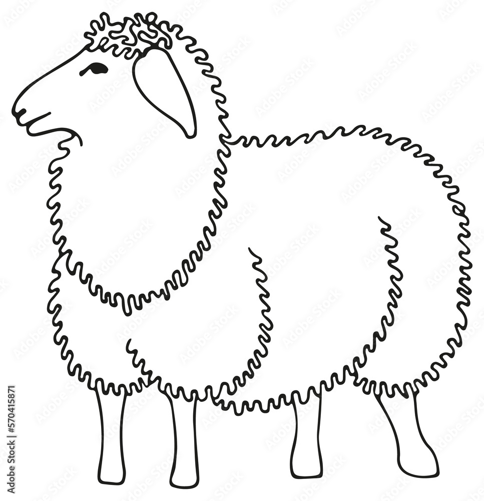 Cute outline sheep illustration single element, hand drawn witn ...