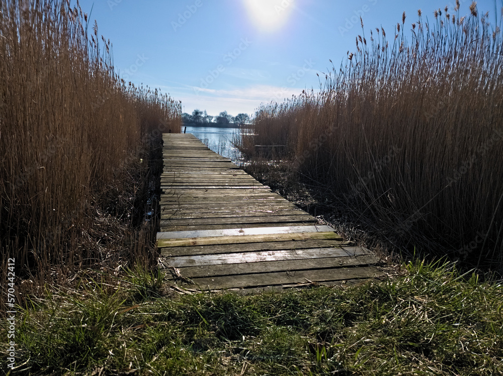 The Sturdy Boat Bridge Leading Out into a Serene Reed Field with a ...