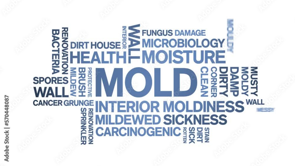 Mold animated tag word cloud;text design animation kinetic typography ...
