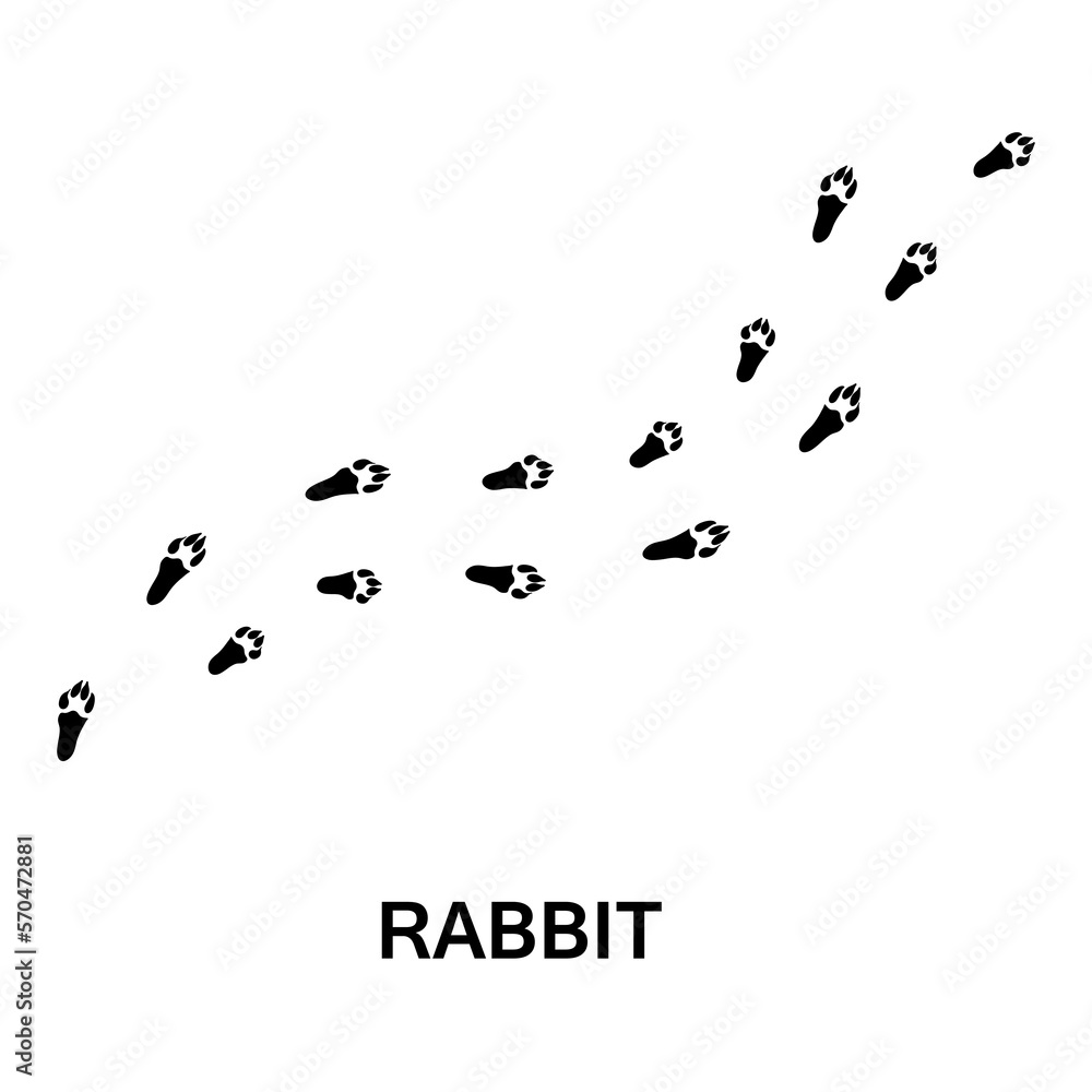 rabbit foot print, animal paw print illustration on white background ...