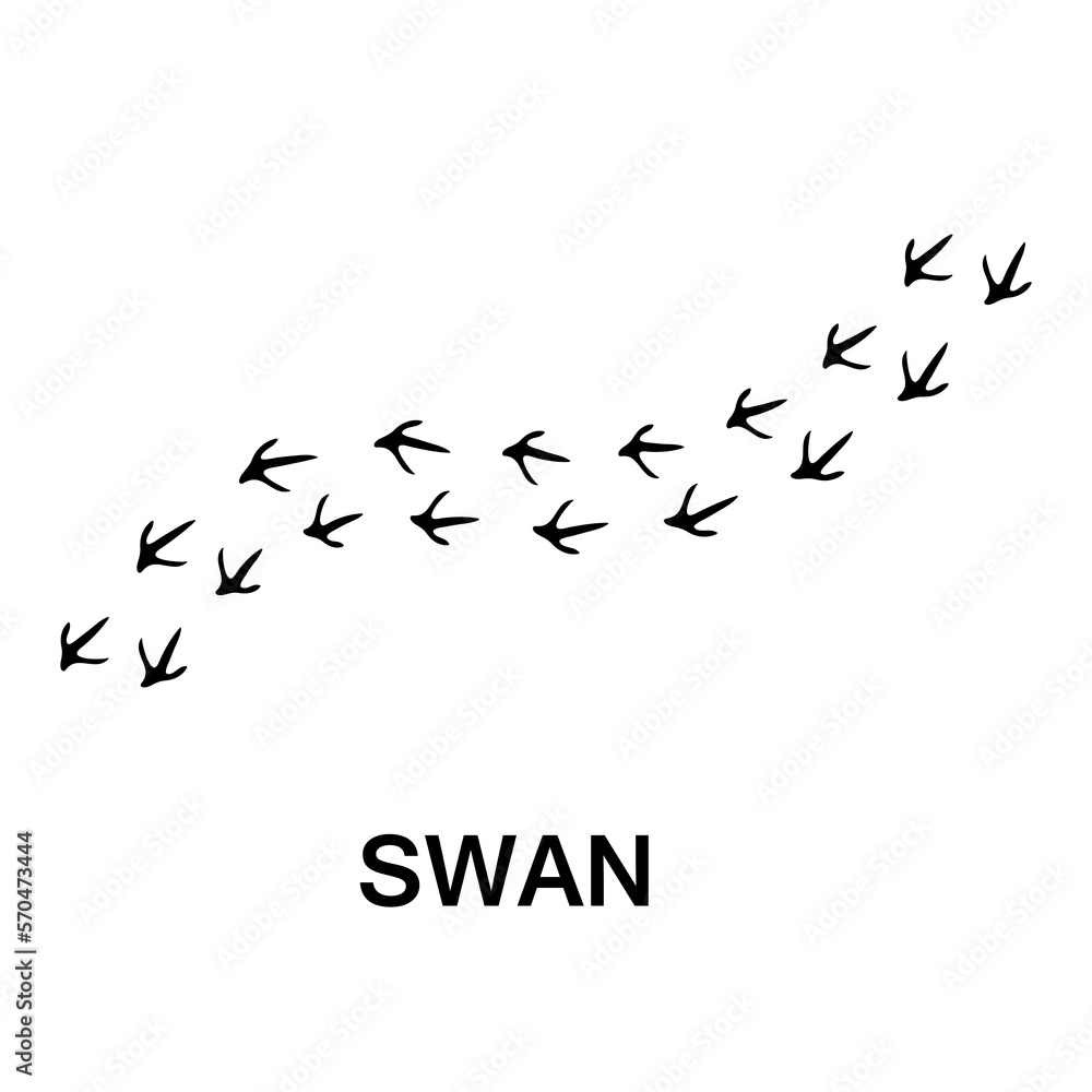swan foot print, animal paw print illustration on white background ...
