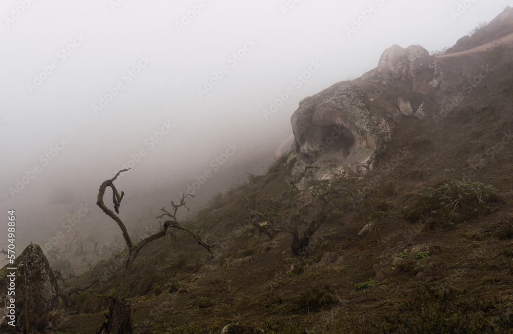 Skull shape huge rock in Lomas de Lachay, Natural Reserve in Lima Peru ...