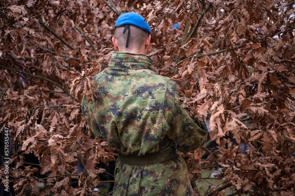 Serbian soldier carries dried oak branches for a ceremonial burning ...