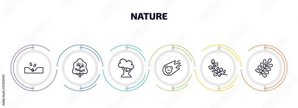 nature infographic element with outline icons and 6 step or option ...