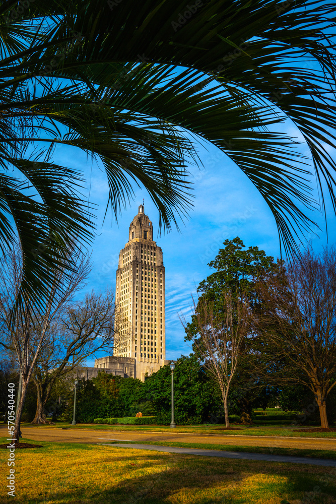 Louisiana State Capitol with large palm tree leaves over the manicured ...
