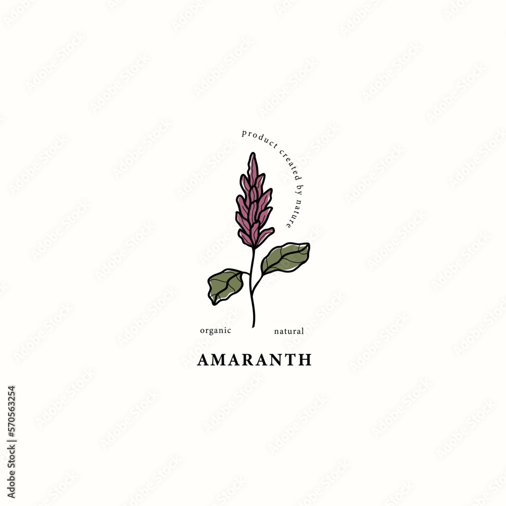 Line art amaranth branch drawing Stock Vector | Adobe Stock
