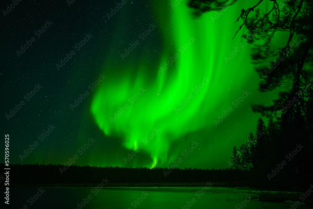 Foto de The Auroras (Revontuli in Finnish) are one of the most ethereal ...