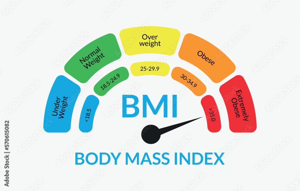 Body Mass Index Infographic Chart. Colorful BMI Chart Vector ...