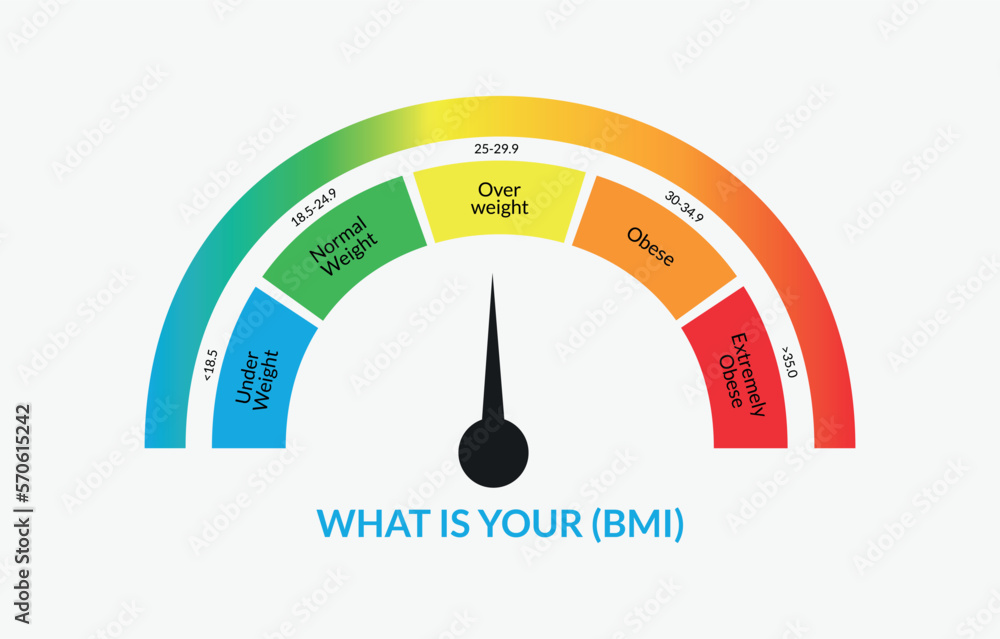 Body Mass Index Infographic Chart. Colorful BMI Chart Vector ...