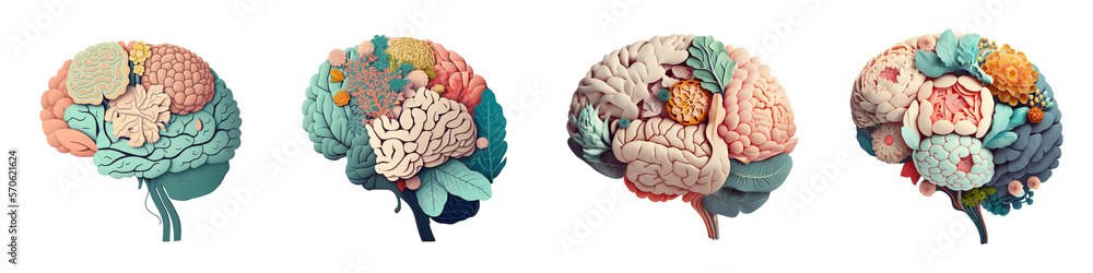 Human brain with decorative flowers, creative refreshing mind and ...