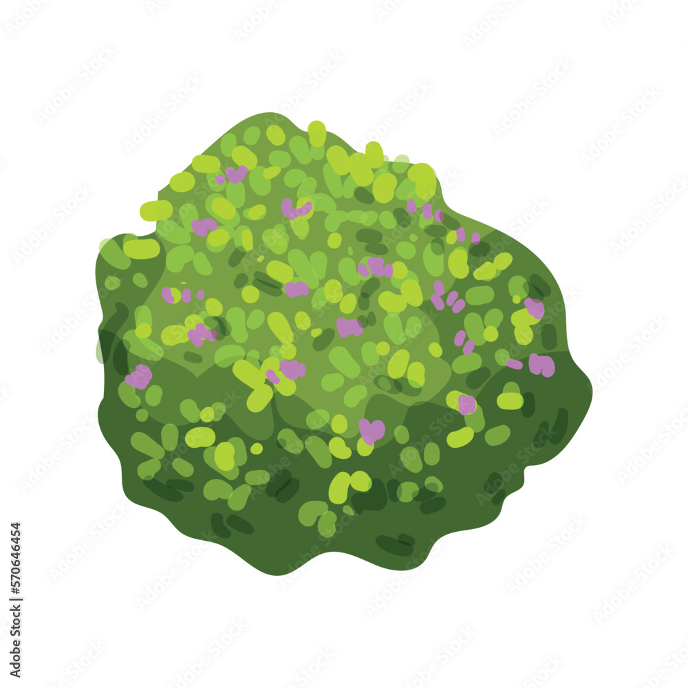 Vector of colored detailed bushes. Landscape elements isolated on white ...