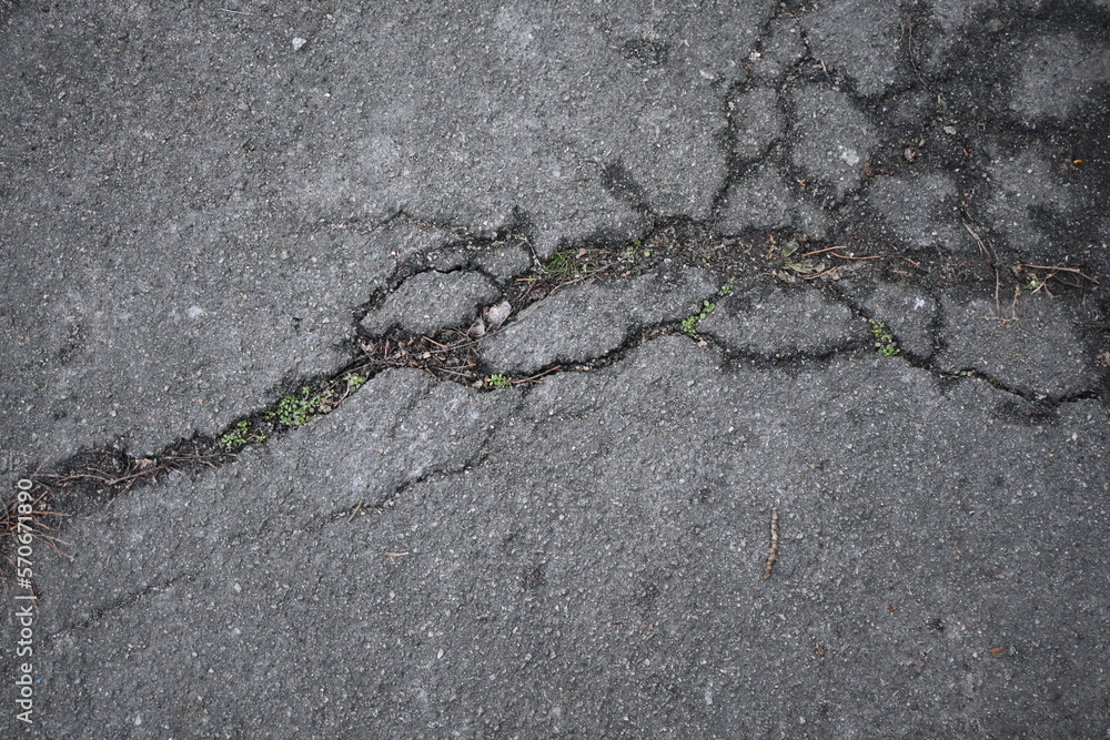 fissure on gray asphalt, gray asphalt erosion, soil split from tree ...