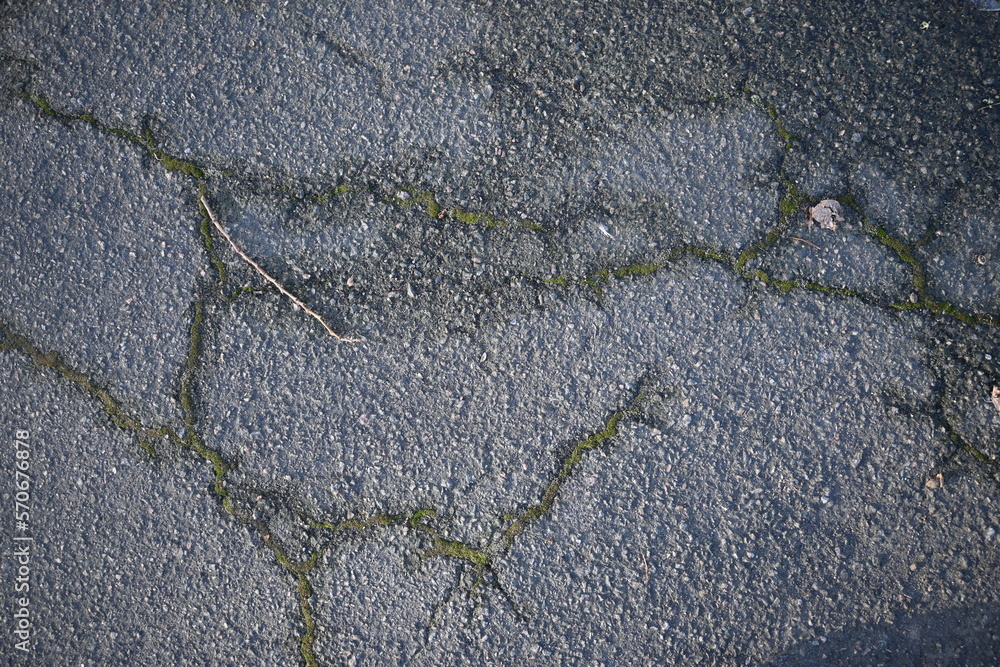 fissure on gray asphalt, gray asphalt erosion, soil split from tree ...