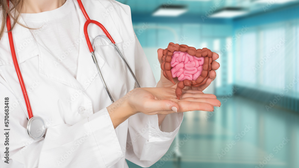 Doctor holds intestines. Gastrointestinal tract in woman hand ...