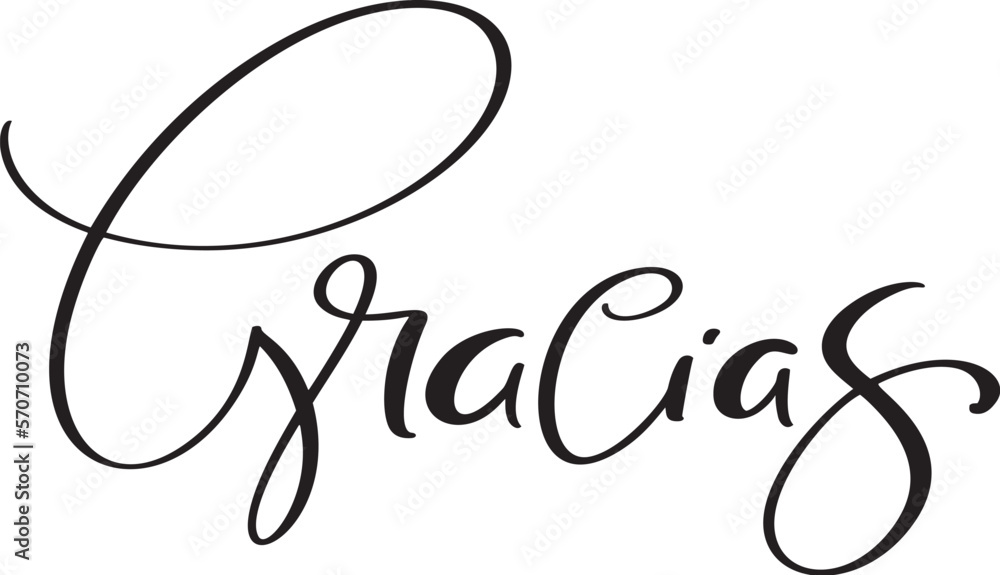 Thank you vector lettering text in spanish Gracias. Hand drawn phrase ...