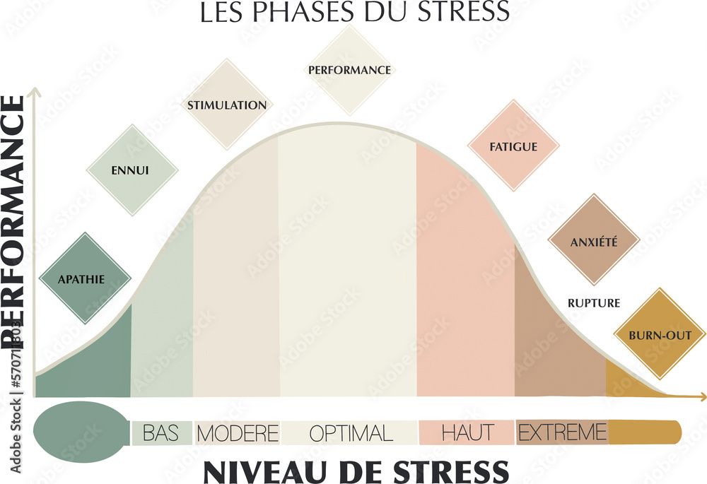 Stress management. Courbe de stress. Performance et phase du stress ... Stress management. Courbe de stress. Performance et phase du stress ...