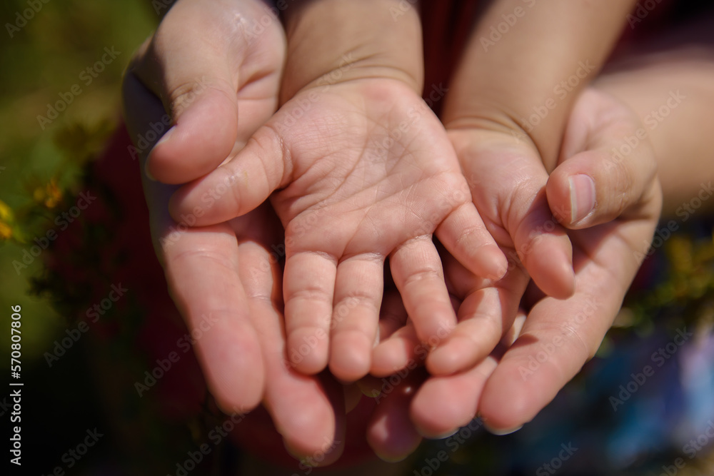 Child's hand is in the mother's hand. Comparison of the bodies of an ...