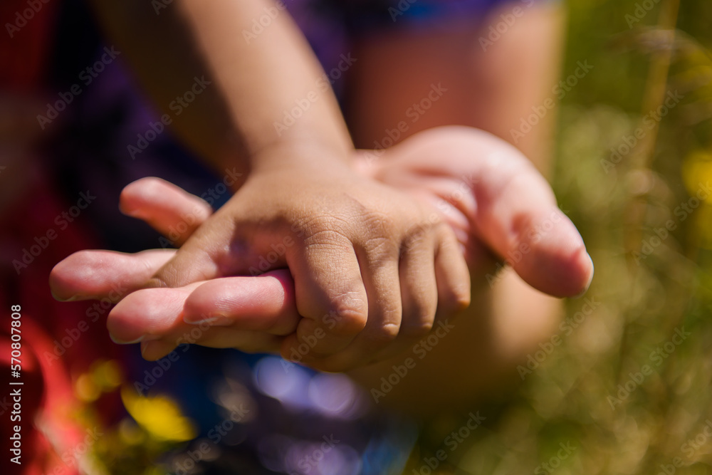Child's hand is in the mother's hand. Comparison of the bodies of an ...