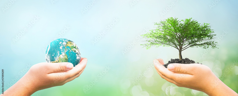 ESG concept:tree planting growing green earth on volunteers hands and ...