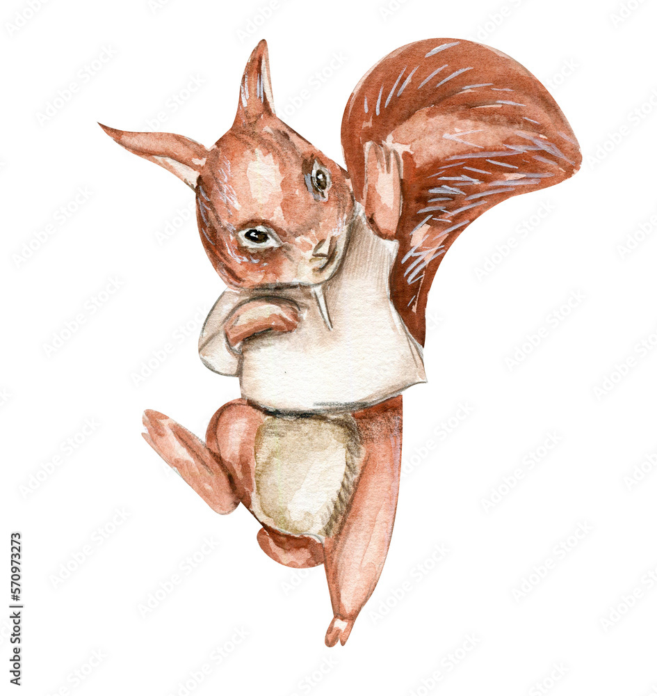Hand drawn watercolor squirrel. Watercolor hand draw fairy tale ...