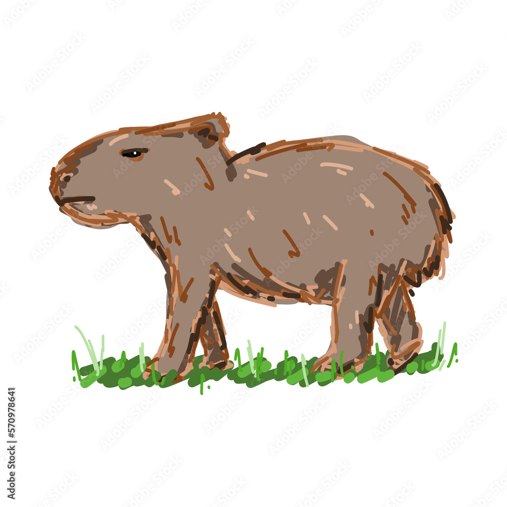 Capybara animal kindergarten doodle art Stock Illustration | Adobe Stock