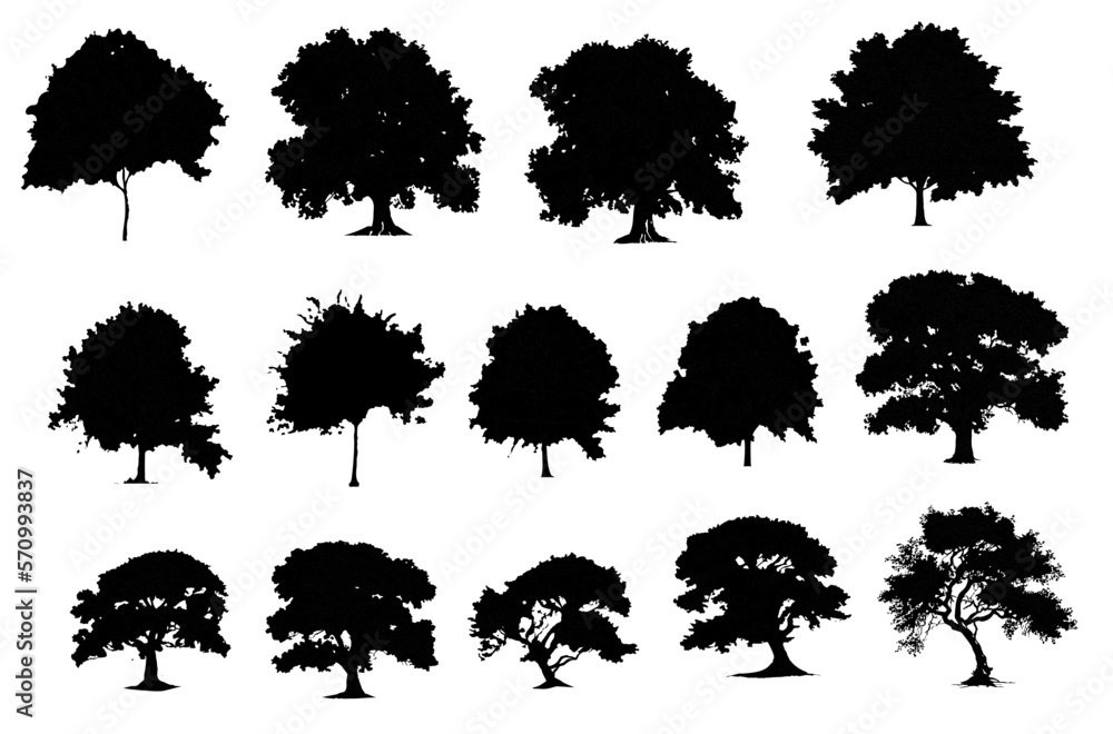 silhouette tree line drawing set, Side view, set of graphics trees ...