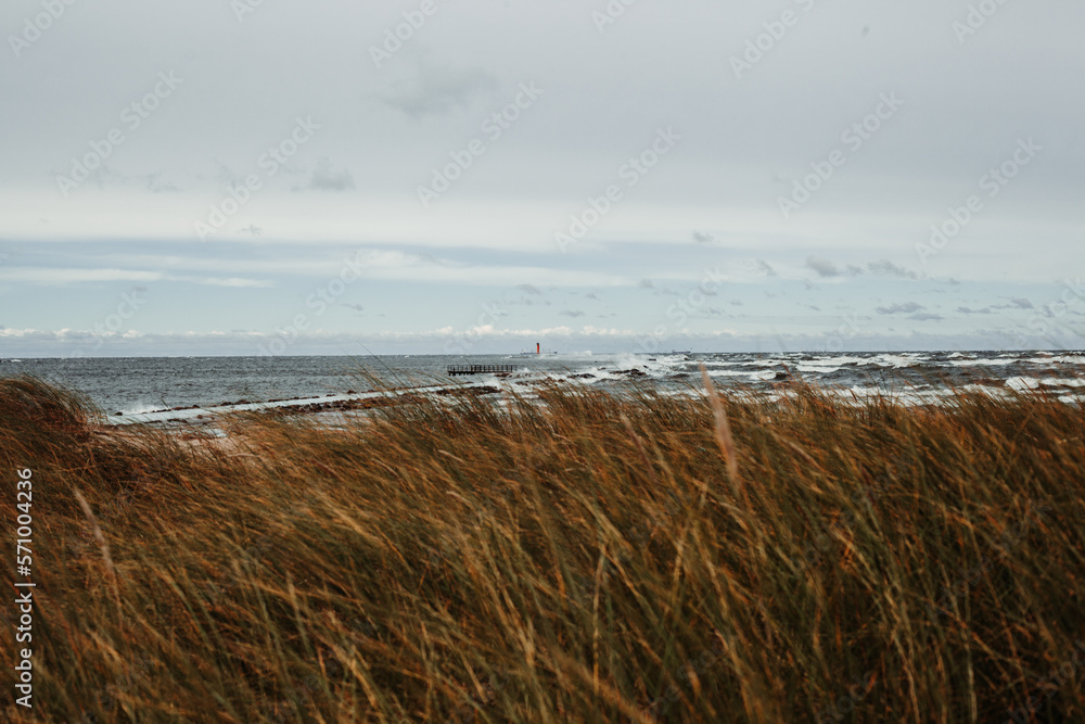 Foto de Spiaggia di Riga città e capitale della Lettonia. Mangalsala ...